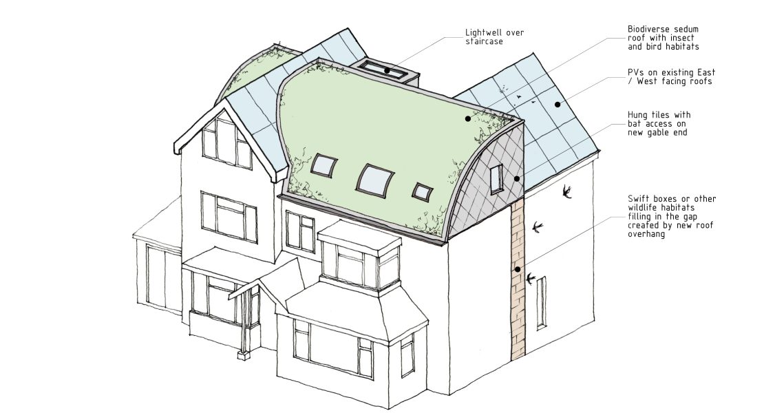 Redesigning a roof for comfort and sustainability – Transition by ...